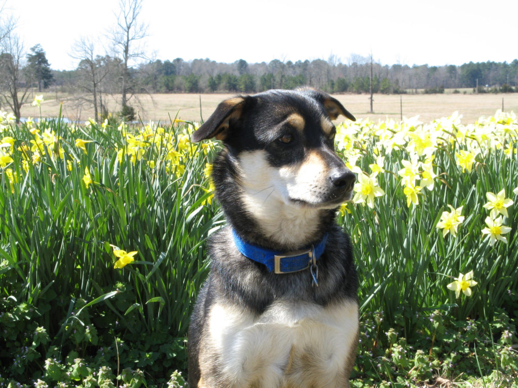 Articles & Inspiration – Beth Anne Rankin